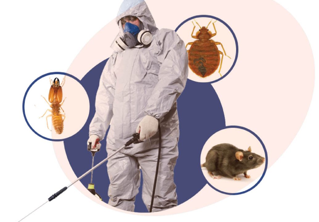 Services – First Strike Pest Elimination