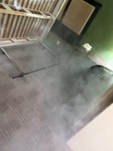 First Strike Pest Elimination