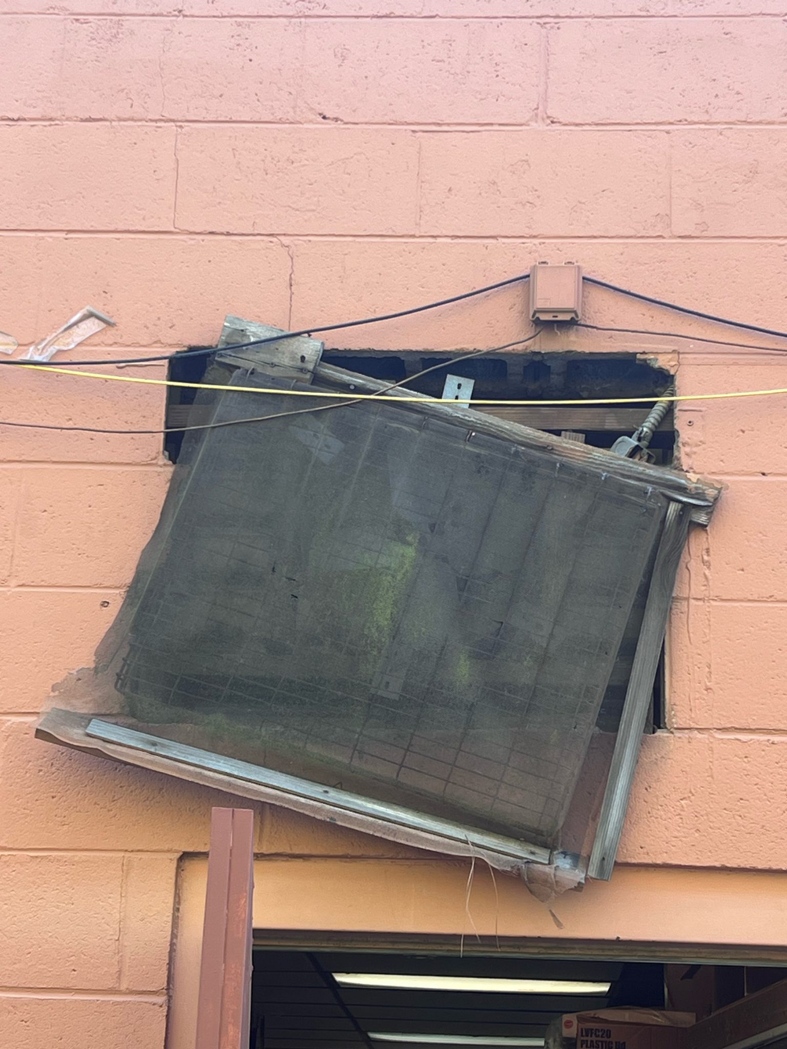 First Strike Pest Elimination